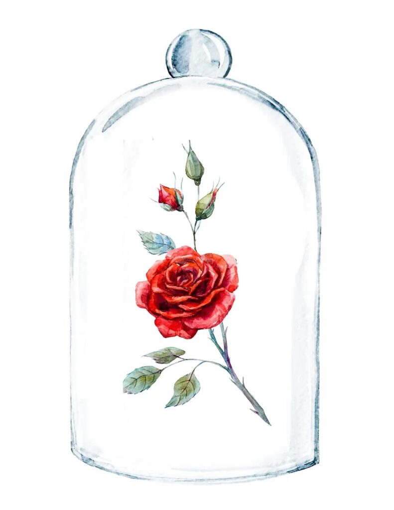 La Rosa del Principito: Un Símbolo de Amor Único | Metaforas
