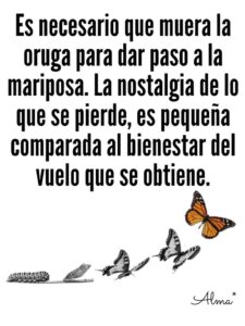 La Metáfora de la Oruga y la Mariposa: Un Viaje de Transformación y ...