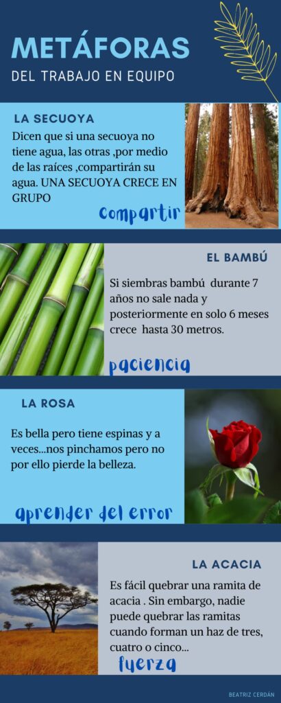 Equipos de Éxito: Metáforas que Conectan | Metaforas