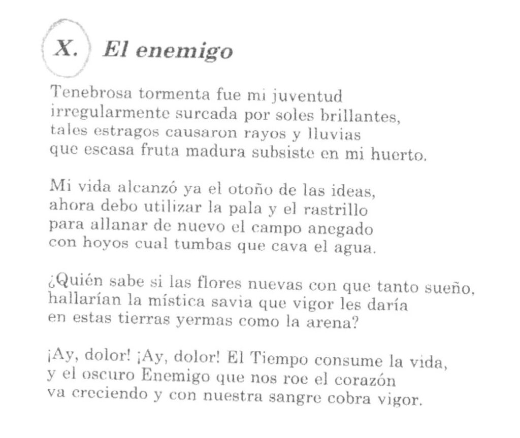 La Poesía de Baudelaire: Un Viaje al Abismo y la Belleza | Metaforas
